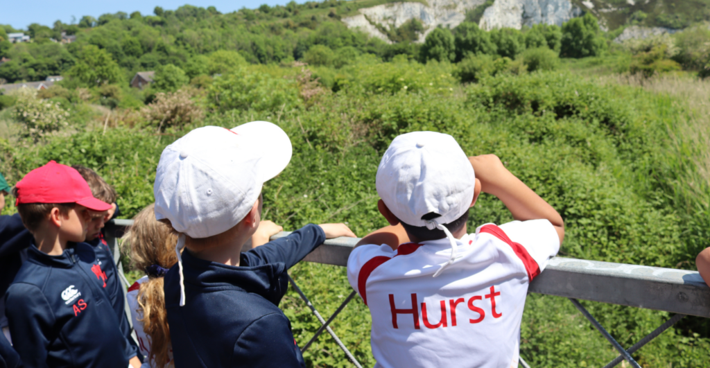 Year 3 Pupils Enjoy Sunny Day of Exploration at Lewes Wetlands ...